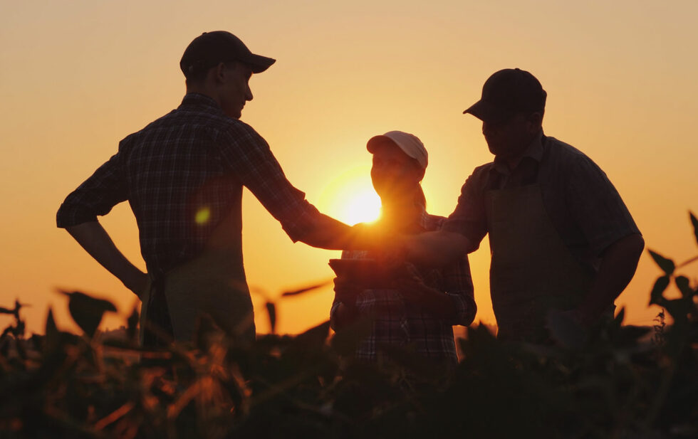 Kahl World - Leading Natural Wax Manufacturer and Innovator